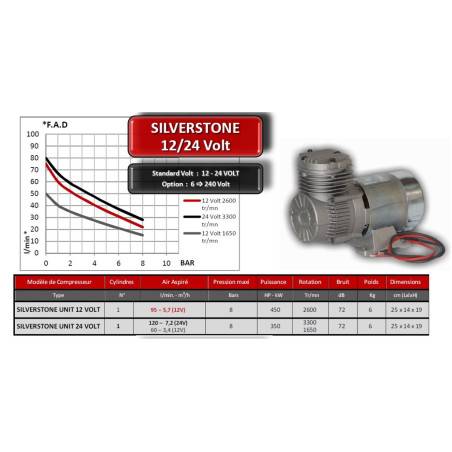 12V/24V NARDI SILVERSTONE 2 compressor 5L tank